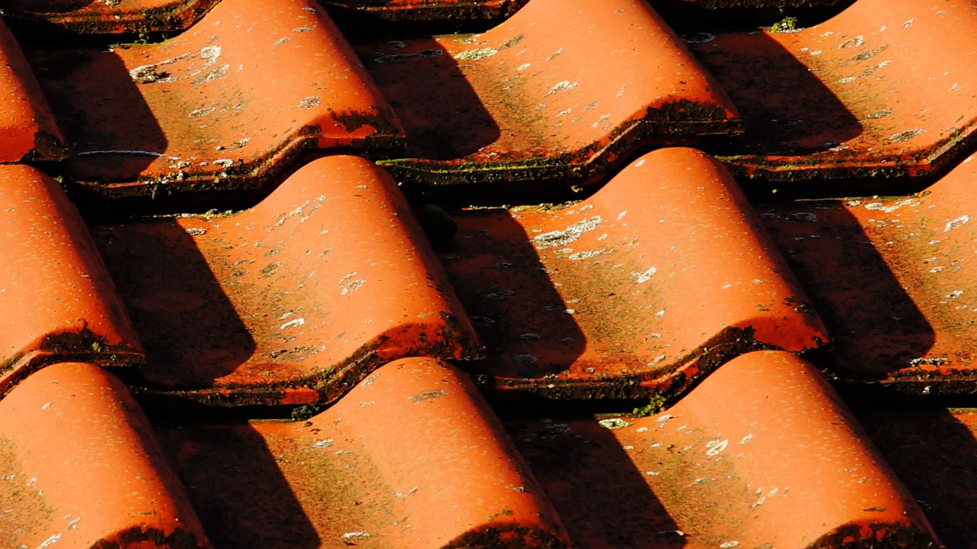 Mikor érett meg a tető cserére? – Fatelep Tura